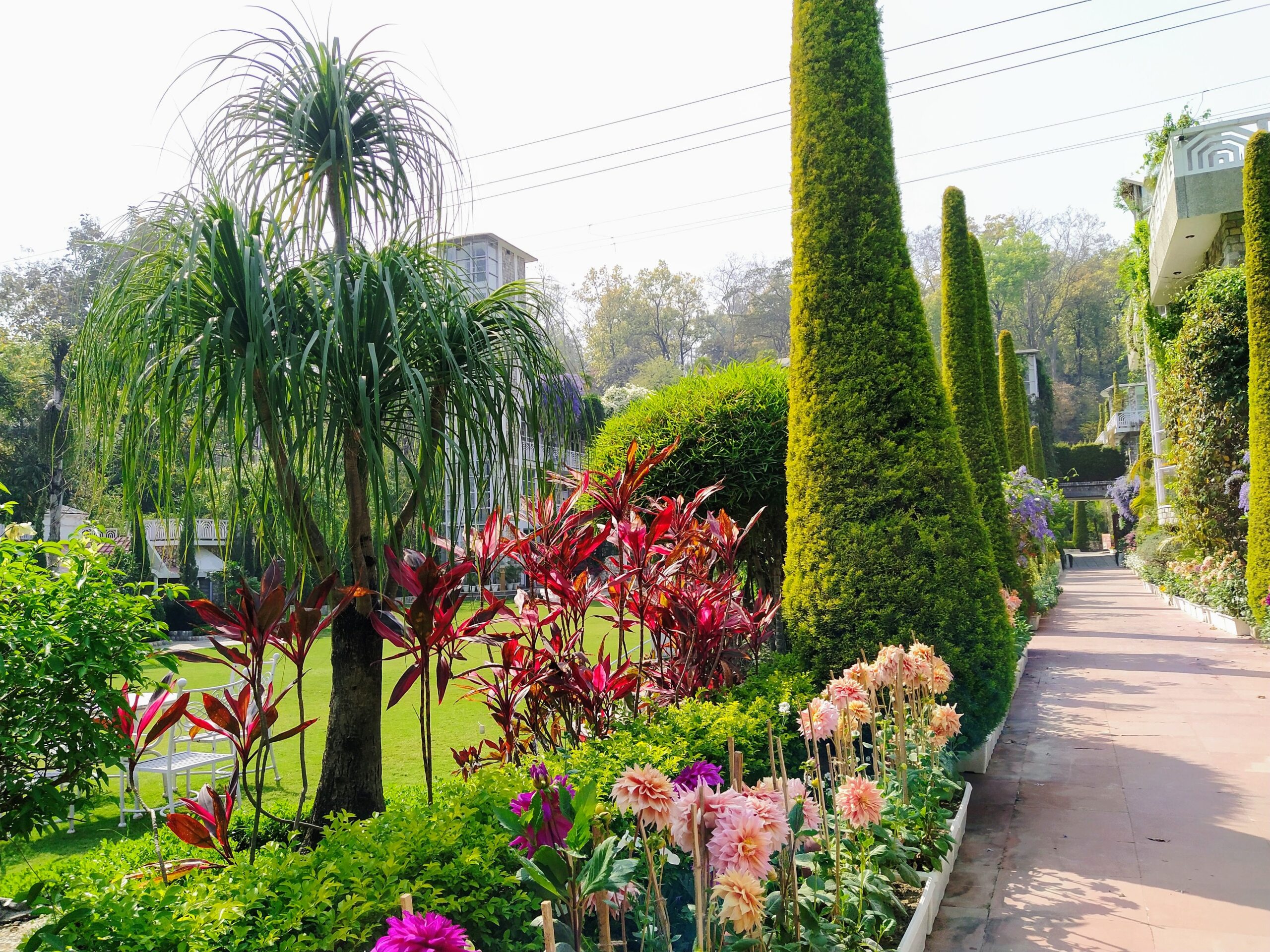 A Resort in Jim Corbett is Bursting with Colour | Ria Gupta